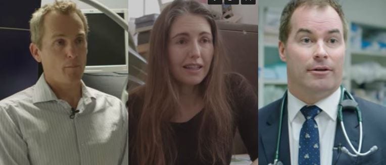 This Is What Humans Need to Look Like to Survive a Car Crash