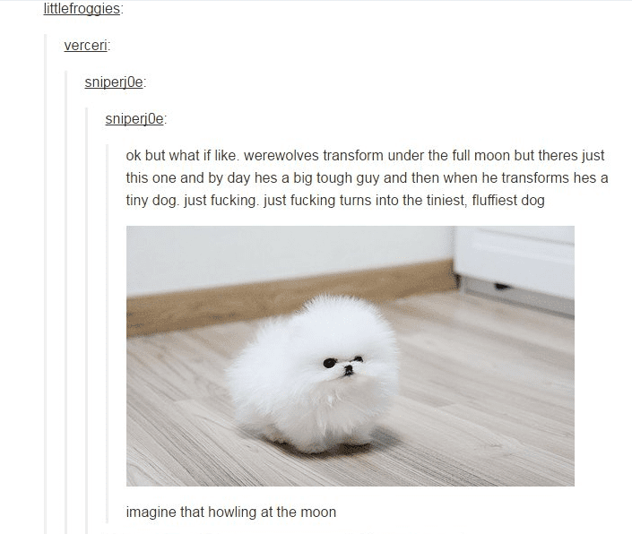 7 Tumblr Threads That Will Give You Life - Page 2 of 2