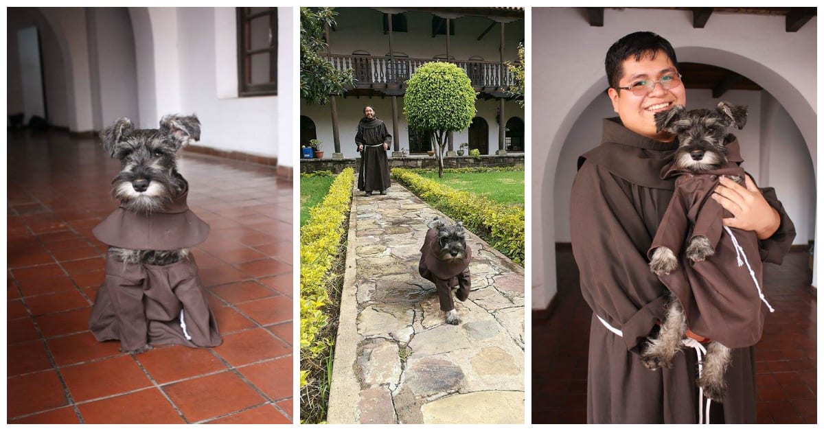 Meet the Stray Dog Who Joined a Monastery and Became a Monk