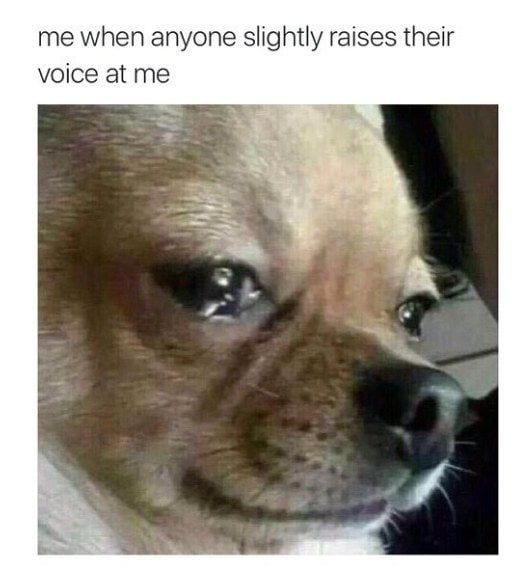 20 Memes Anyone Who's A Bit Dramatic Can Relate To