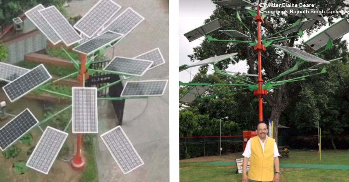 This New Solar Tree Can Power Five Houses