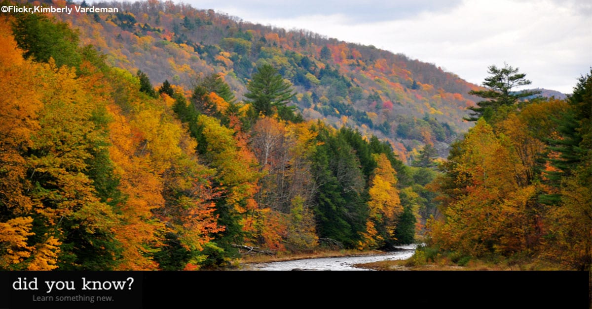 Use This Interactive Map to View the Foliage in Your Area This Fall