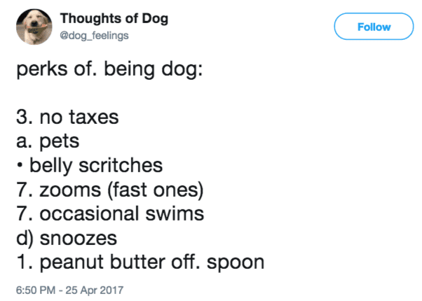 20 Deep Tweets from the 'Thoughts of Dog' Twitter Account