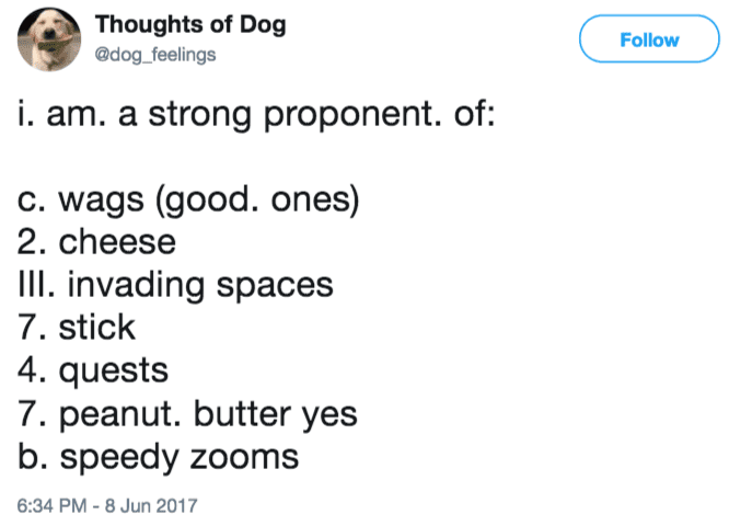 20 Deep Tweets from the 'Thoughts of Dog' Twitter Account