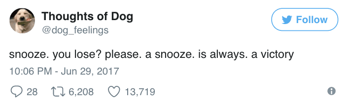 20 Deep Tweets from the 'Thoughts of Dog' Twitter Account