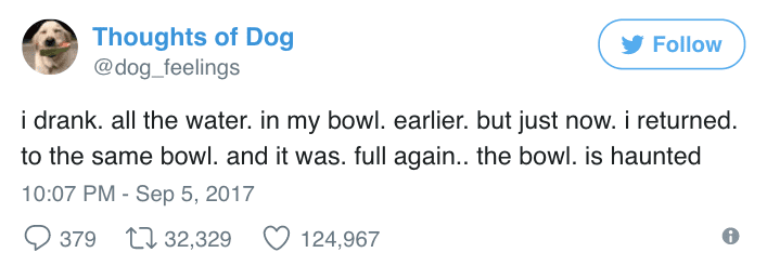 20 Deep Tweets from the 'Thoughts of Dog' Twitter Account
