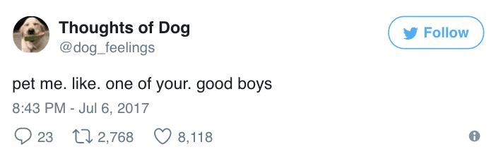 20 Deep Tweets from the 'Thoughts of Dog' Twitter Account