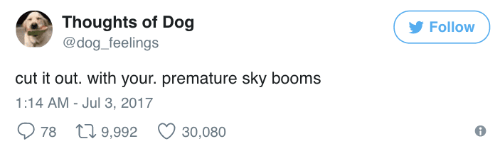 20 Deep Tweets from the 'Thoughts of Dog' Twitter Account