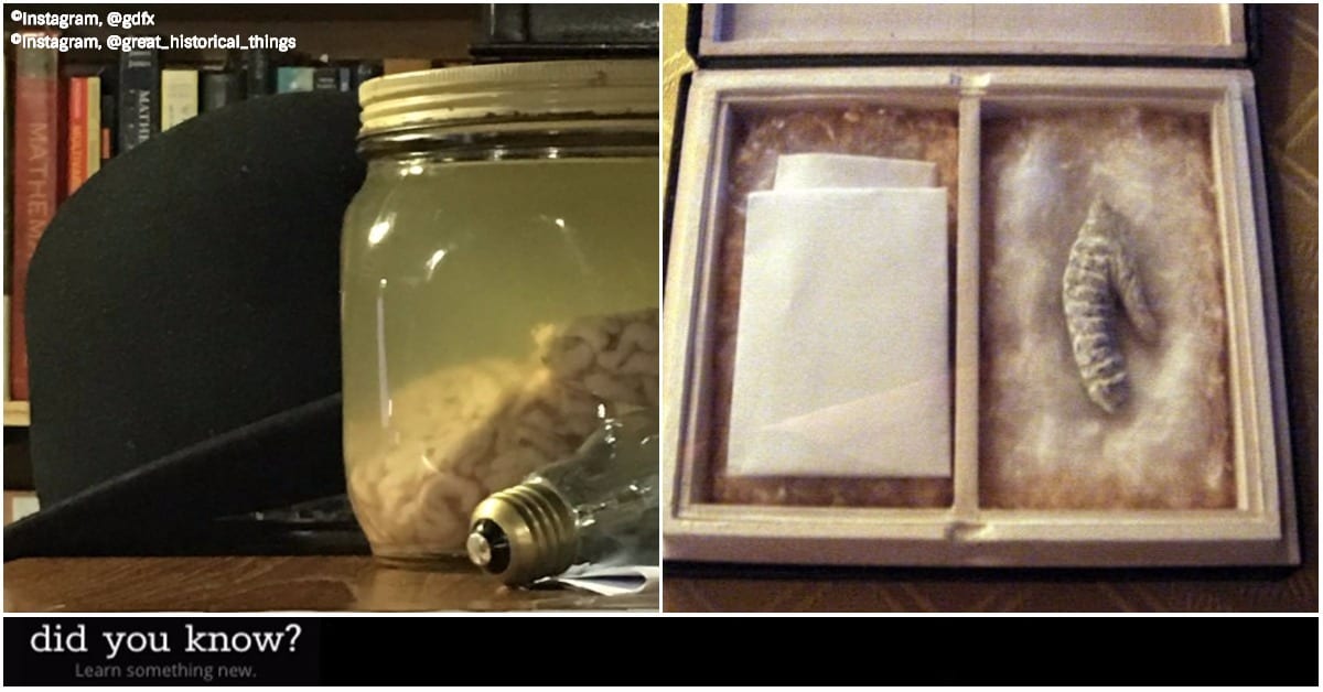 4 Famous Corpses (or Parts of Them) That Turned up in Super Strange Places