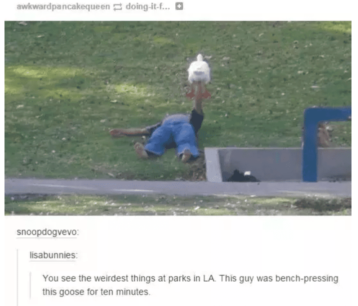 17 Totally Woke Tumblr Posts That Are Instant Classics