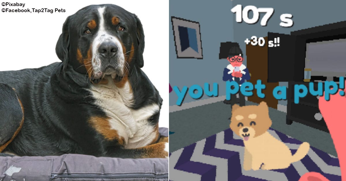 The Entire Point of This Video Game Is to Pet Dogs at a Party