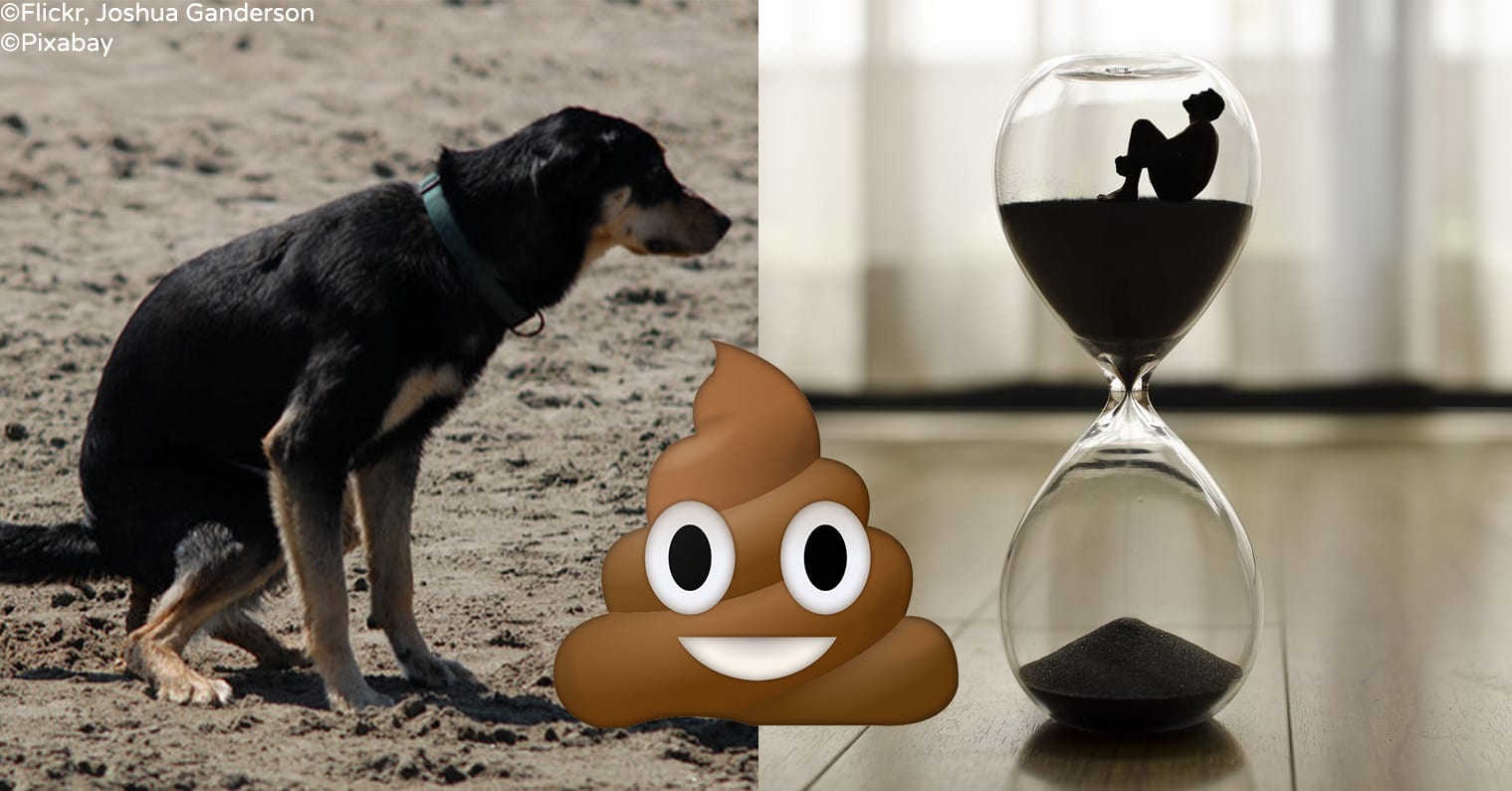 How Long It Should Take You to Poop (And What to Do if You're Having ...