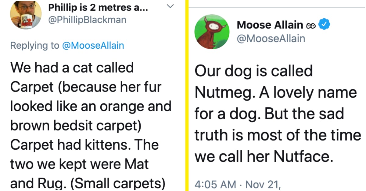 People Are Sharing the Funny Nicknames They Call Their Pets