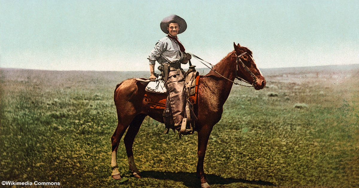 The History Behind the Phrase "...And the Horse You Rode in On"