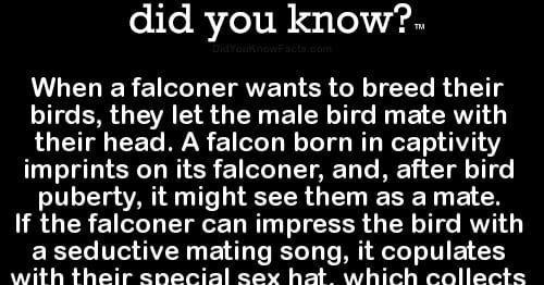 10 Random Facts That Might Help Get You Through The Week