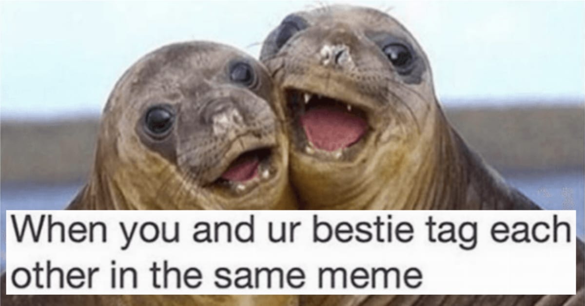 10 Random Tumblr Posts That Are Good for a Laugh