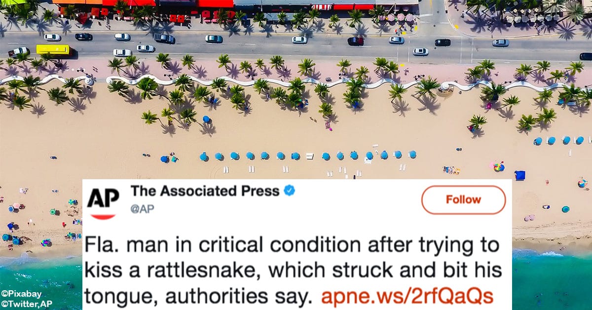 15 Wildly Bizarre News Headlines from Florida That May Have You ...