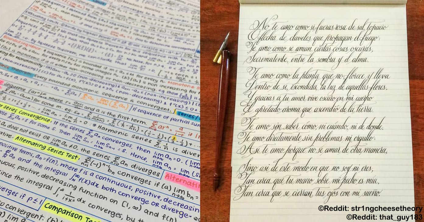 11+ Times People Had Truly Perfect Handwriting