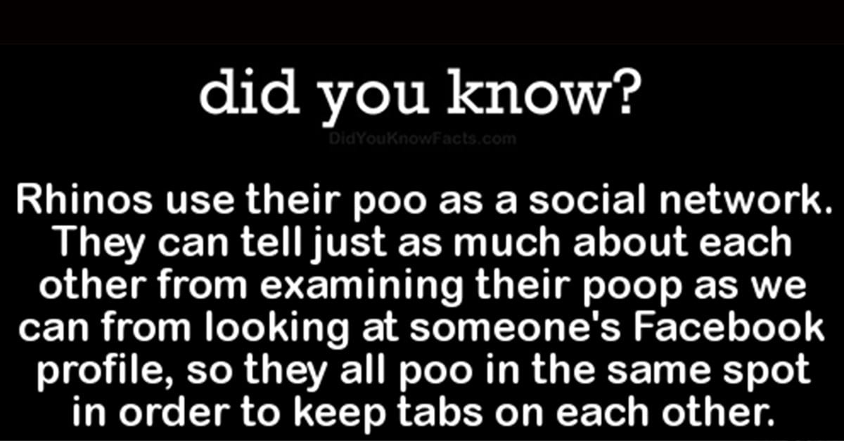 5+ Random Facts Guaranteed to Make You Think