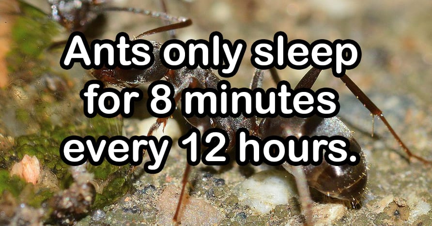 10 Facts That Changed How We See The World