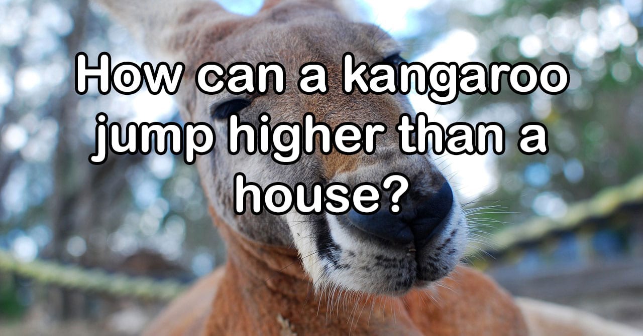 6 Tricky Riddles to Rev up Your Day