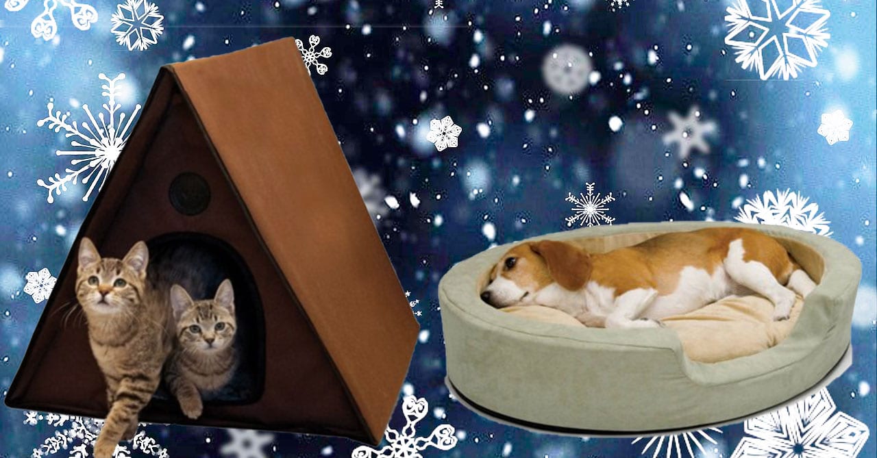 These Heated Beds Are a Wintertime Must for the Spoiled Pet in Your Life