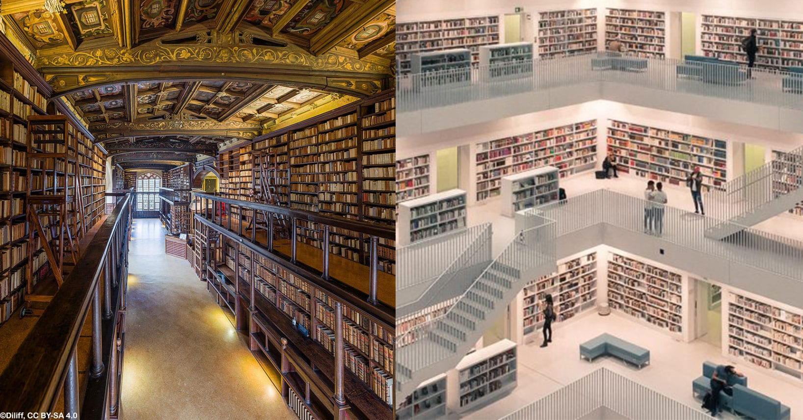10 Libraries You Need to See This Lifetime