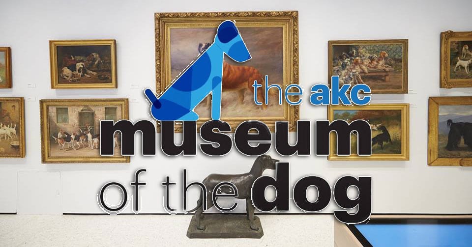 New York City Is Getting Its Very Own Dog Museum! Rejoice!
