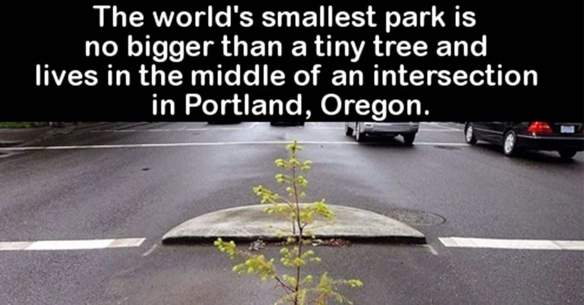 10 Cool Facts That Might Just Blow That Mind of Yours