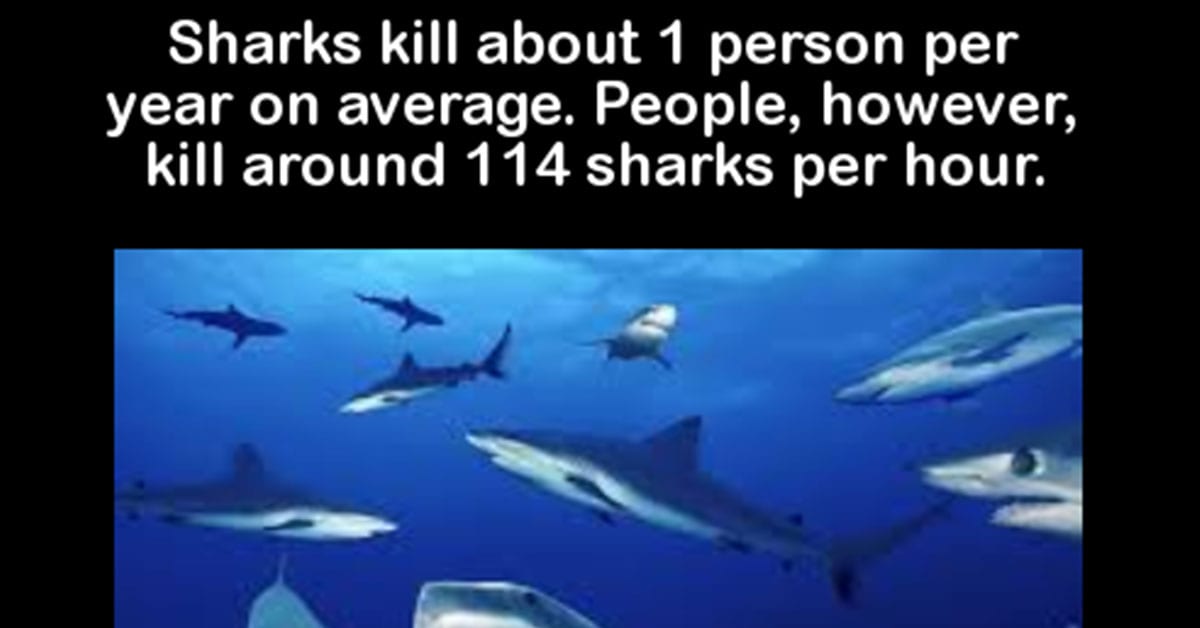 10 Facts That Are Gonna Make You Say 'WOW'