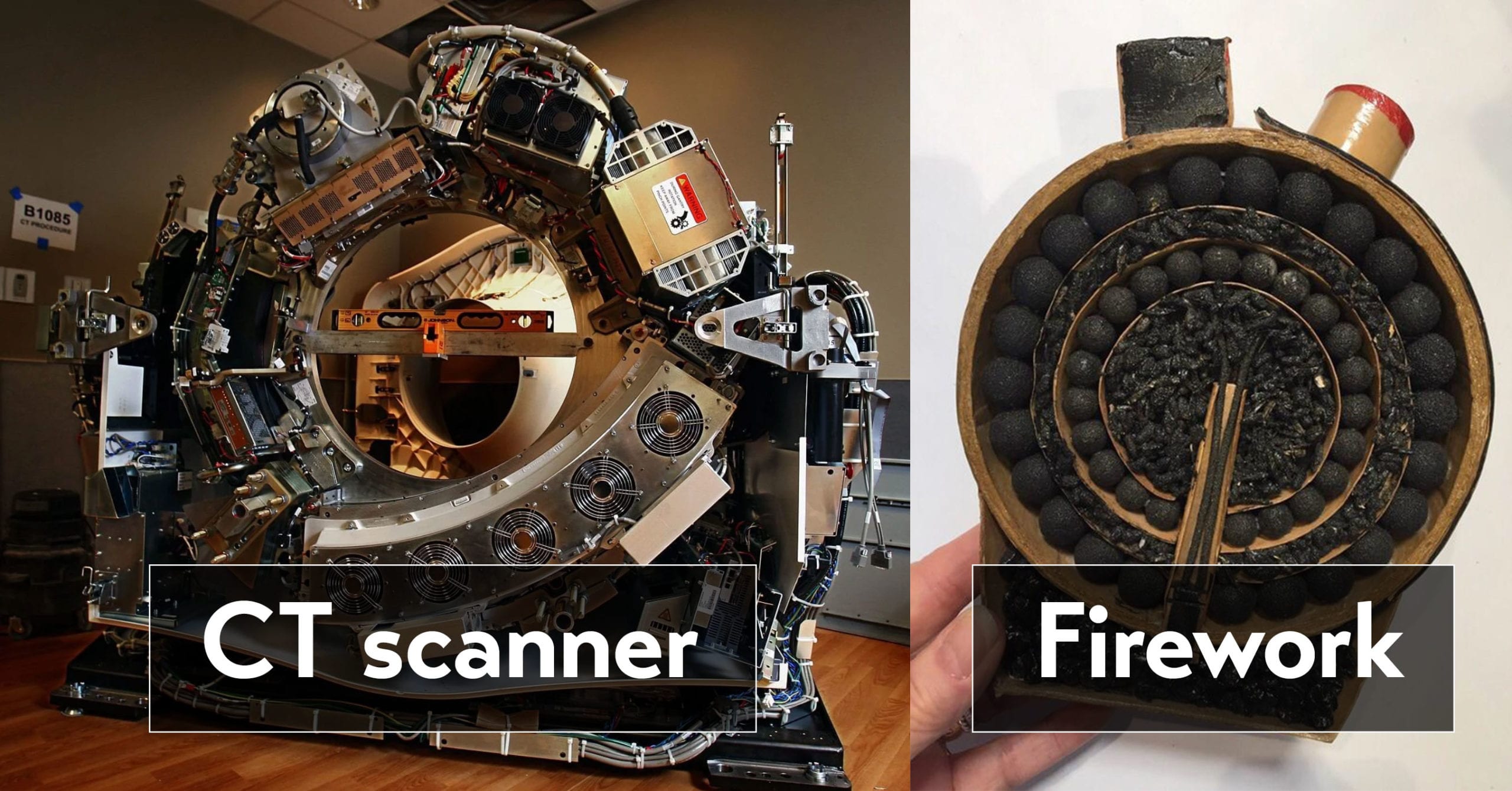 These 19 Pictures of Things Cut In Half Will Show You a Whole New World