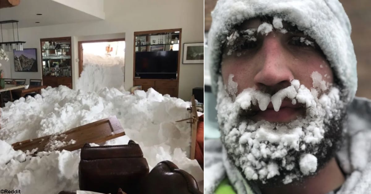 20 People Who Are Having a Much Worse Winter Than You