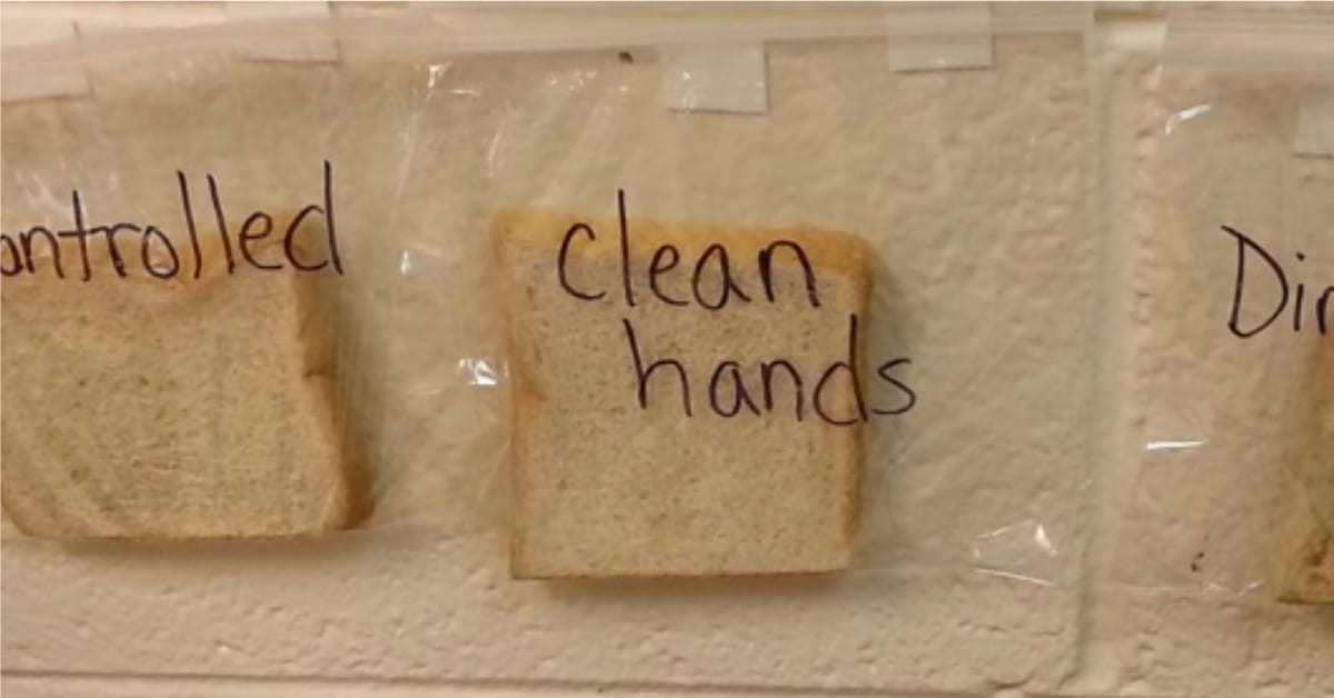 Teacher's 'Bread Experiment' Shows You the Importance of Washing Your Hands