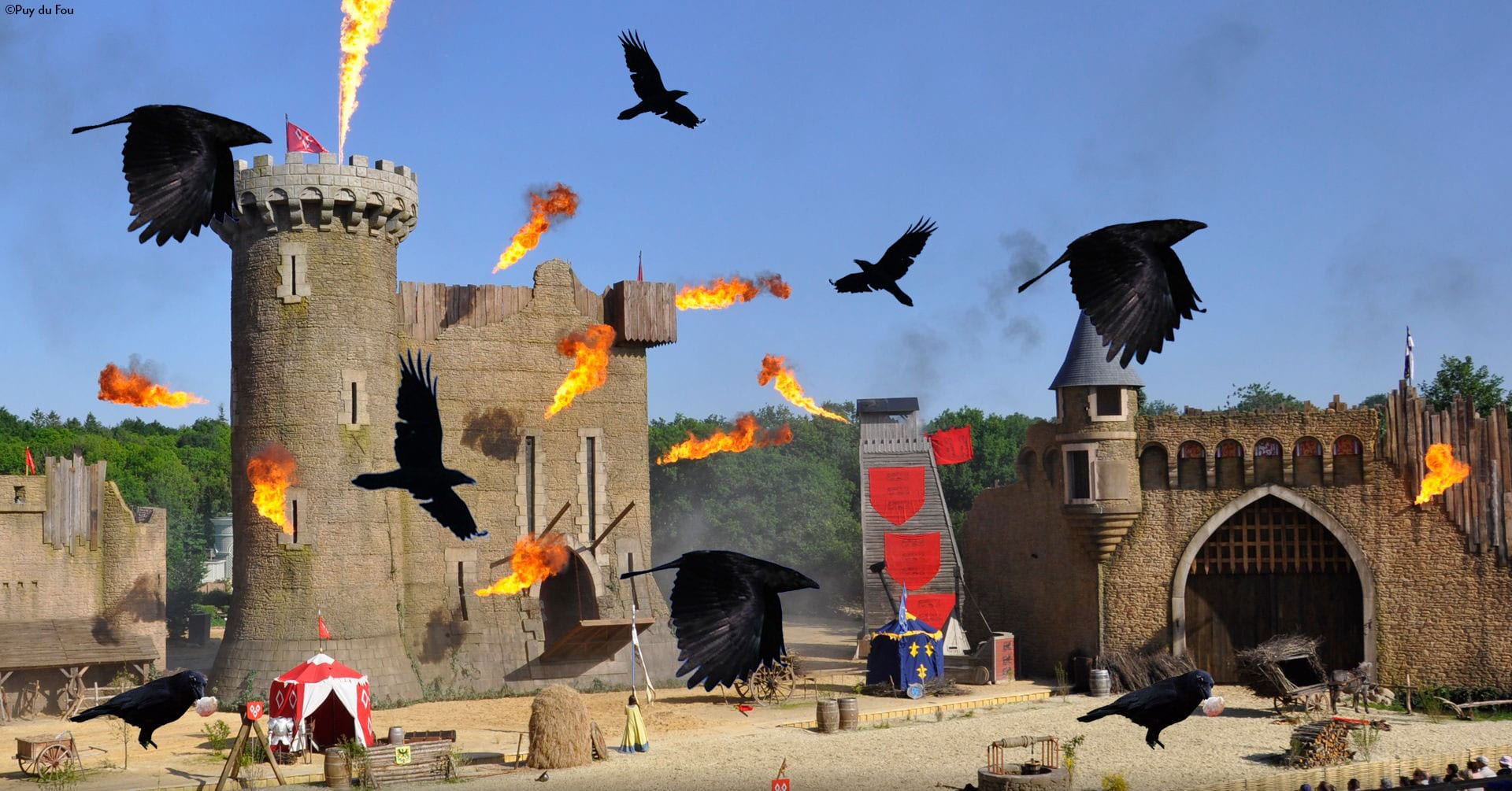 A French Theme Park Has Trained Crows to Help Keep the Place Clean