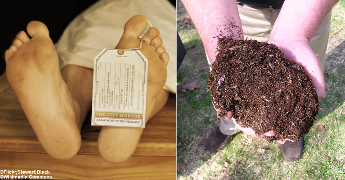 Washington Might Be the First State to Legalize 'Human Composting'