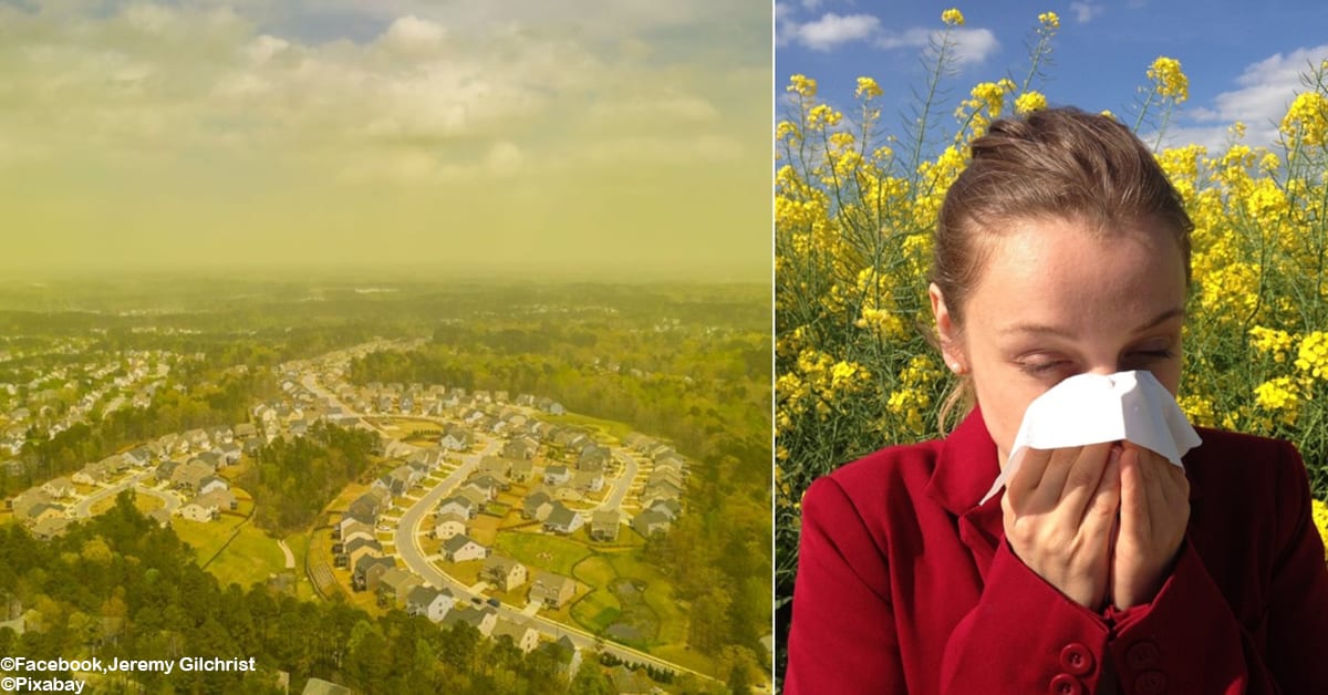 North Carolina's "Pollenpocalypse" Strikes Fear into the Heart of All ...