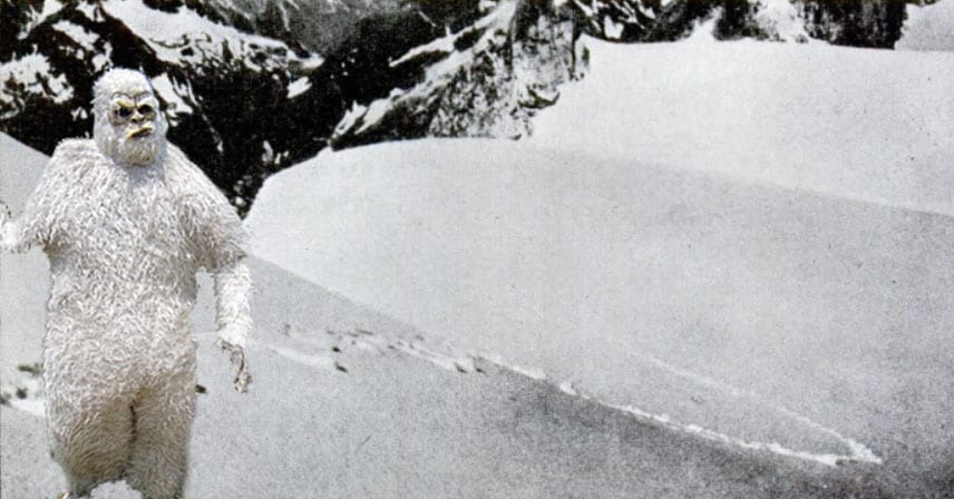 The Indian Army Thinks It's Found Evidence of a Yeti