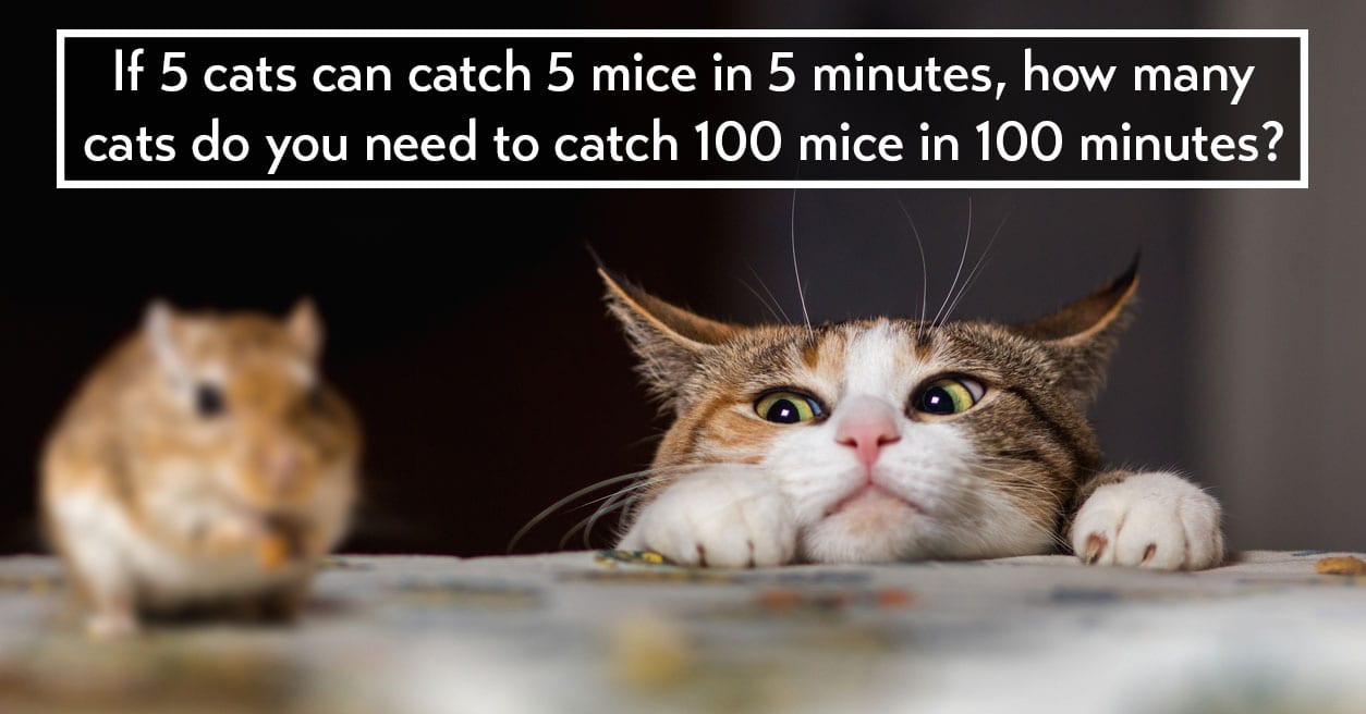 6 Logic Riddles That Just Might Stump You