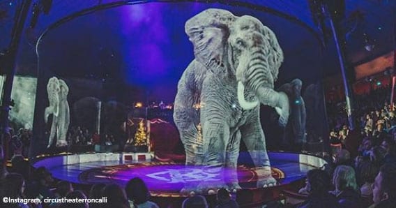 This German Circus Replaced Animals with Holograms, and Everyone Should ...