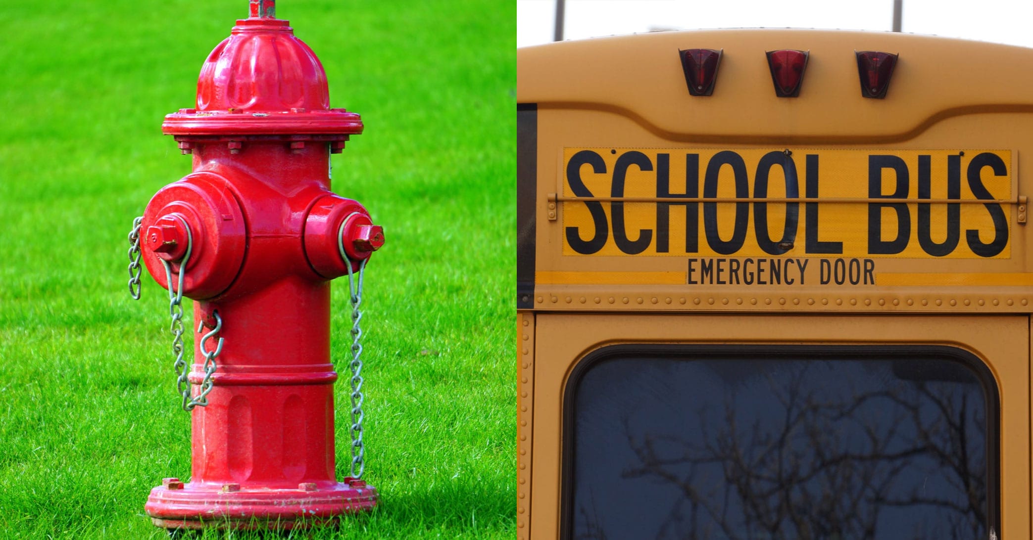 The Facts Behind Why School Buses and Other Everyday Objects Look the ...