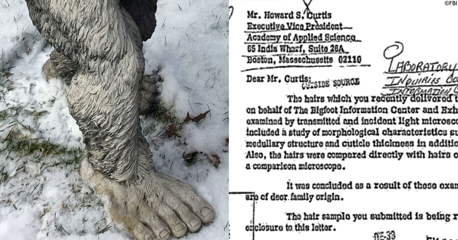 The FBI Reveals Results of Bigfoot Hair Tests 40 Years Later