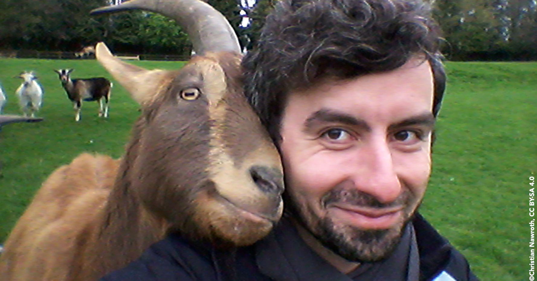 Move over Dogs: Scientists Say Goats Are as Smart and Loving as Man's ...