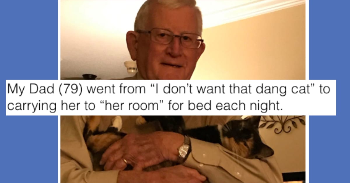 13 Dads Who Said They Didn't Want a Cat but Came Around Real Fast
