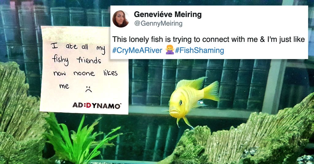 17 Fish Shaming Photos (Because They Were Naughty)