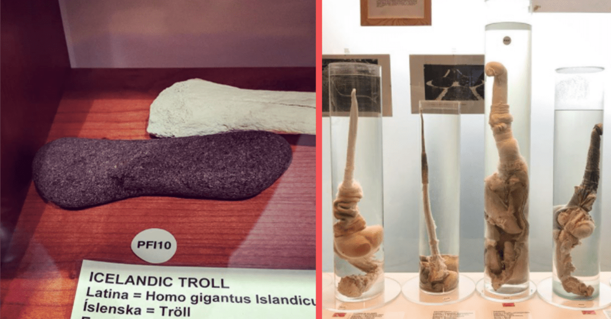 Here's What It's Like to Run a World-Class Phallus Museum