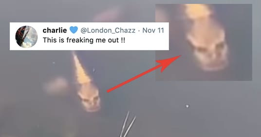 Creepy Fish with a Human Face Caught on Video in China