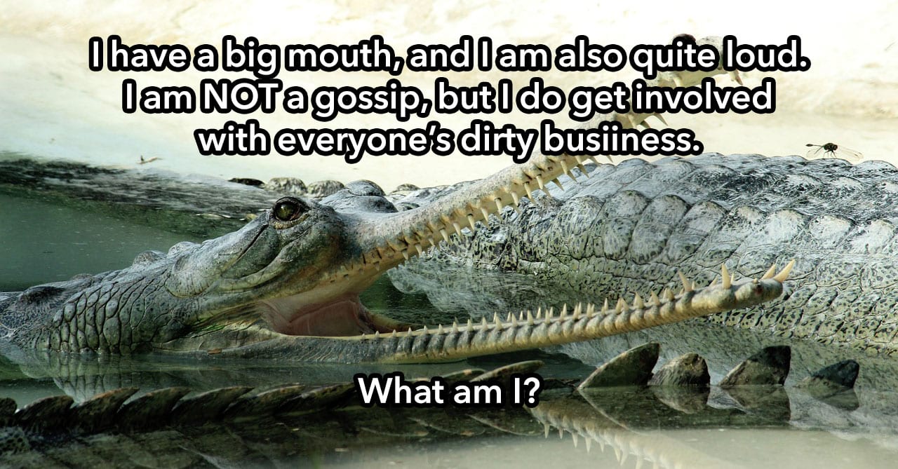 6 Riddles We Hope You Can Solve