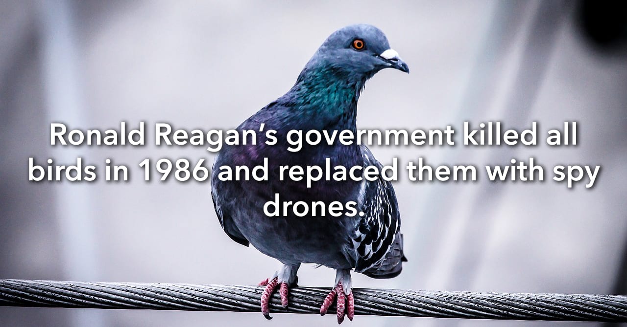 13 of the Weirdest Conspiracy Theories You've Probably Never Heard Of