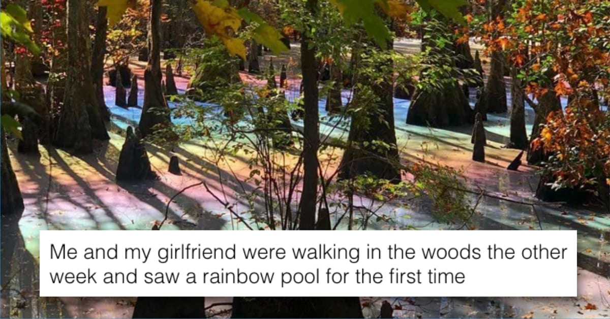 19 Photos of Beautiful and Interesting Things You Rarely See