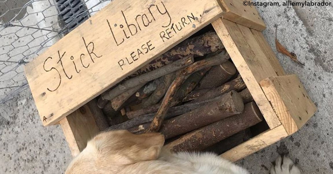 Dog Owner Builds a "Stick Library" for the Pups at the Local Park